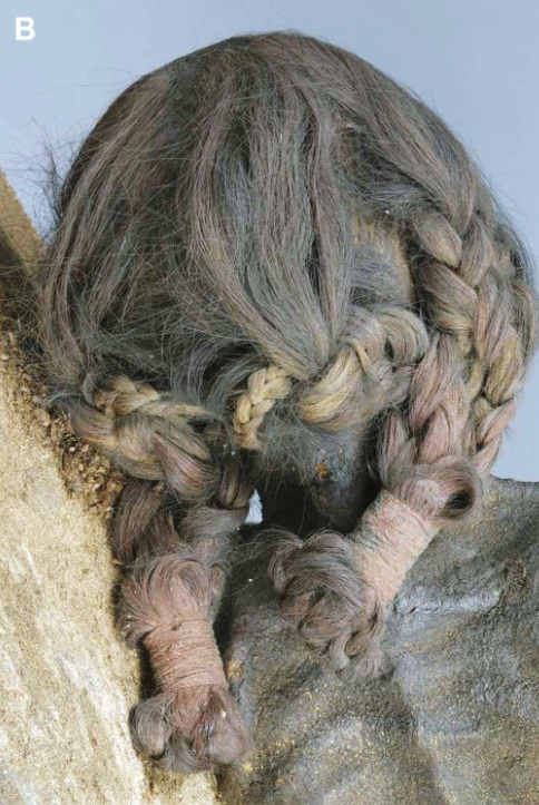 Mystery Incan Mummy's Skull Smashed for Human Sacrifice 500 Years Ago