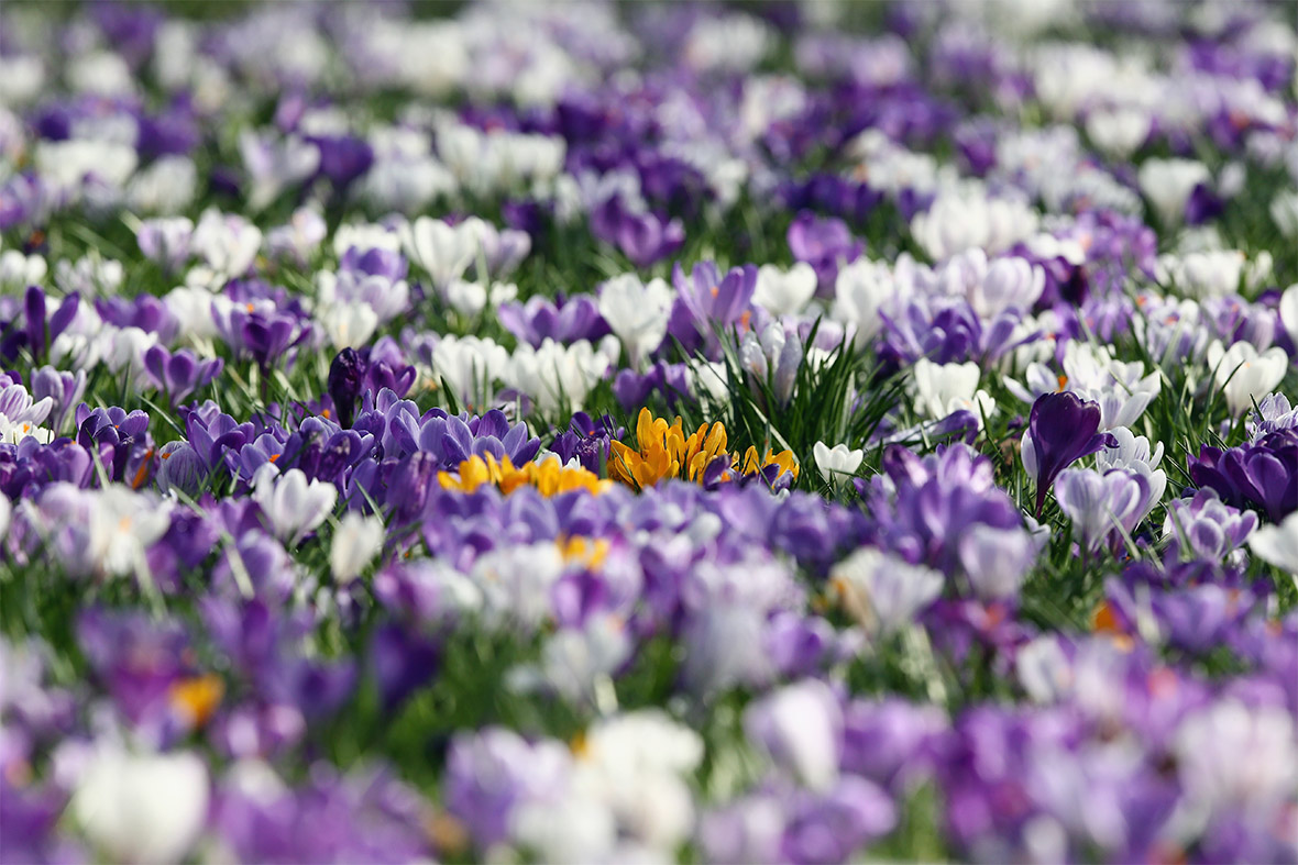 Sunny Spring Weather Hits Britain After Wettest Winter on Record