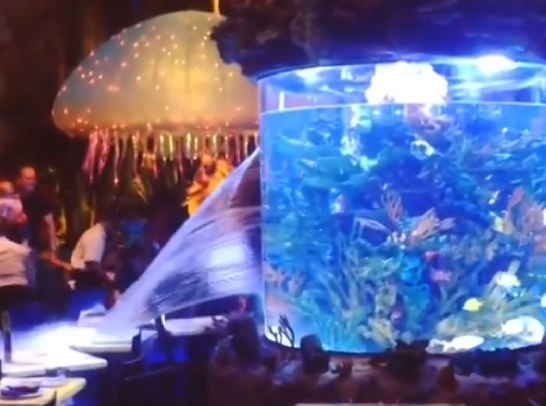 Florida: Watch Disney World T-Rex Cafe Customers Flee as Giant Fish ...