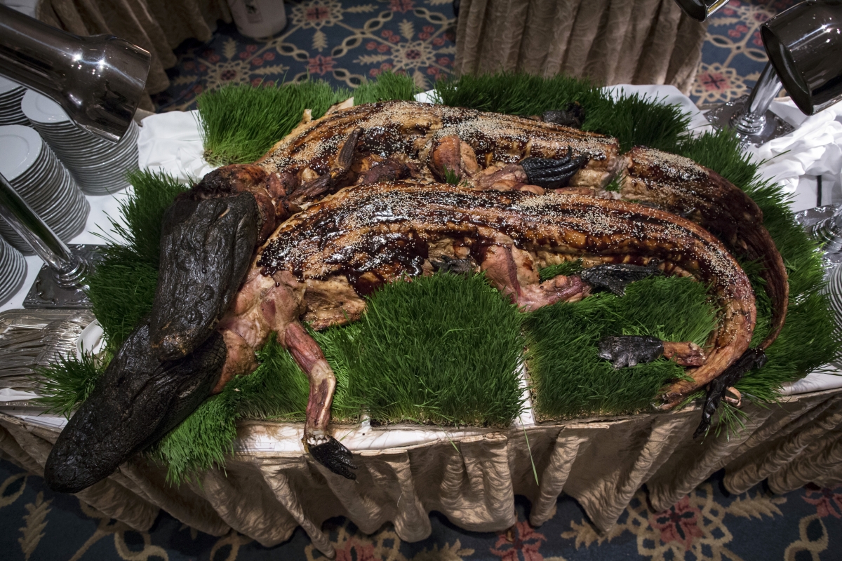 Weirdest Images of the Week from Around the World