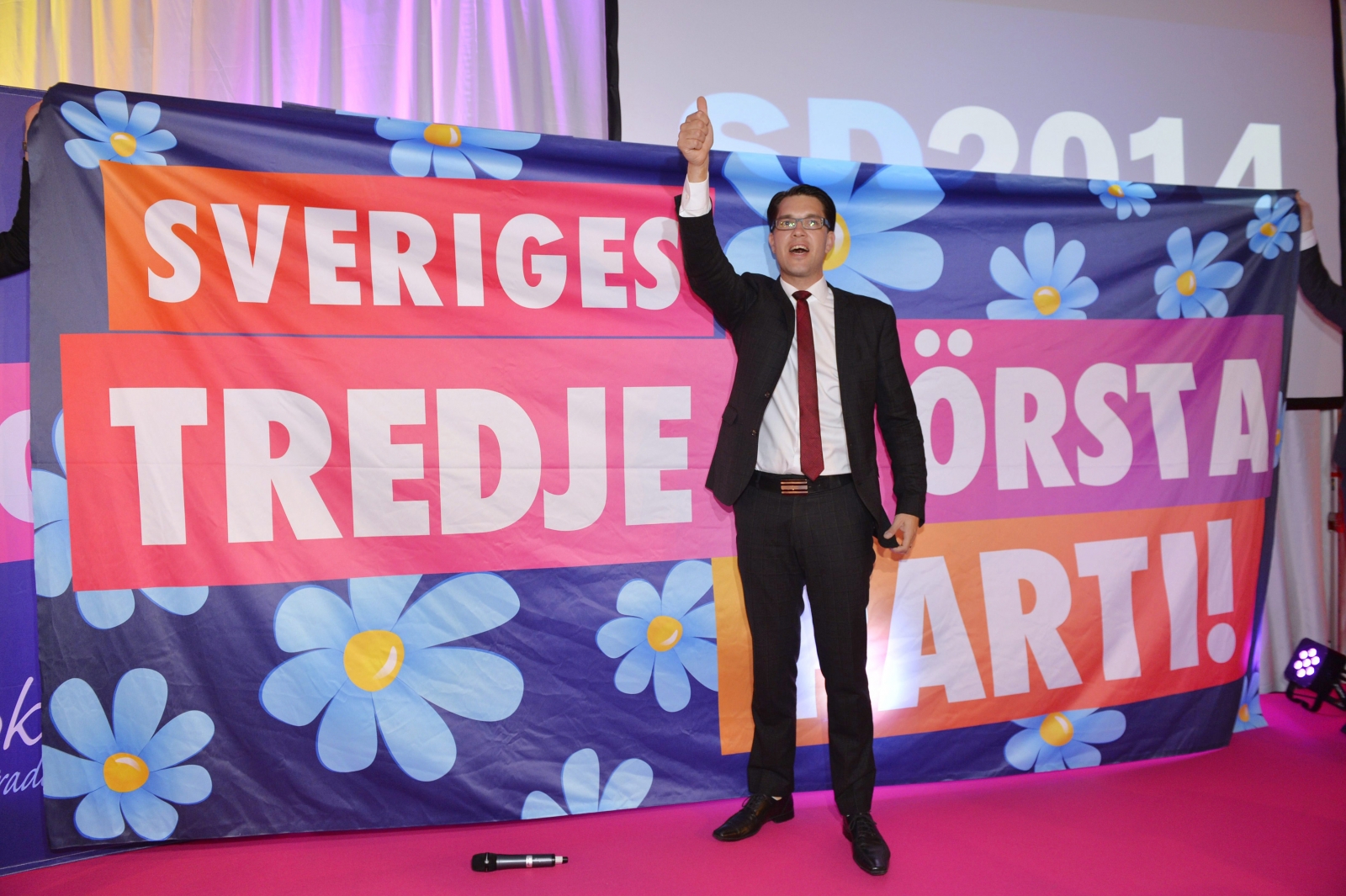 Far-Right Sweden Democrats Party Leader: 'We're the Absolute Kingmaker ...