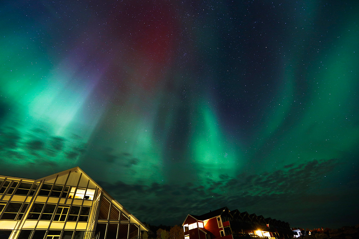 Aurora Borealis: Stunning Displays of the Northern Lights over Norway