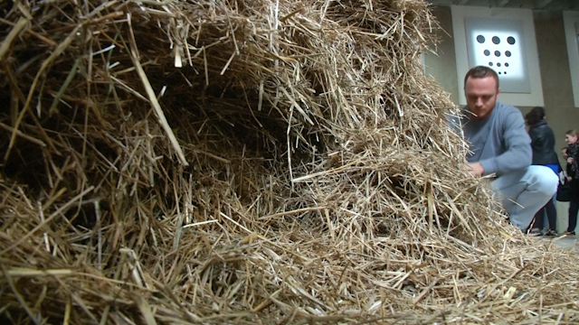 Artist Looks for Needle in a Haystack, Literally | IBTimes UK