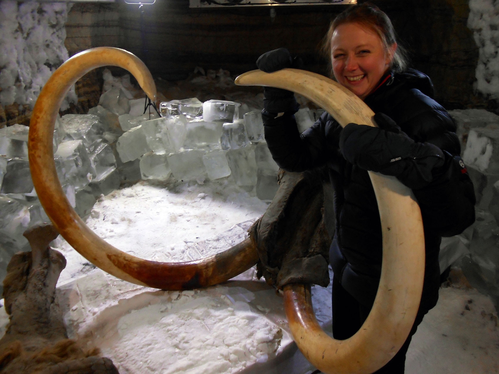 Woolly Mammoth Cloning Debate Reignited by South Korean 'De-Extinction ...