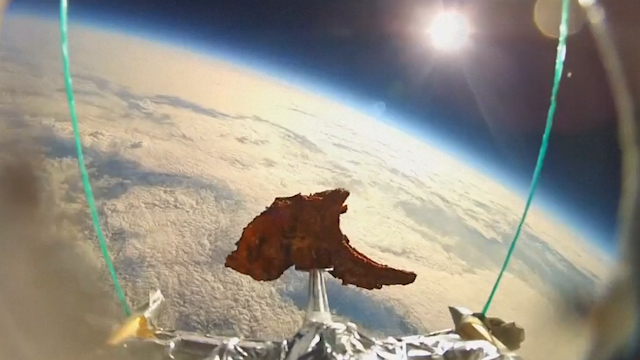 Four Friends Send a Lamb Chop into Space | IBTimes UK