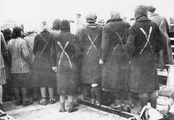 Holocaust Memorial Day 2015: Himmler's war on women at female-only ...