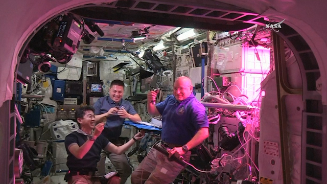 Astronauts bite into first space grown food | IBTimes UK