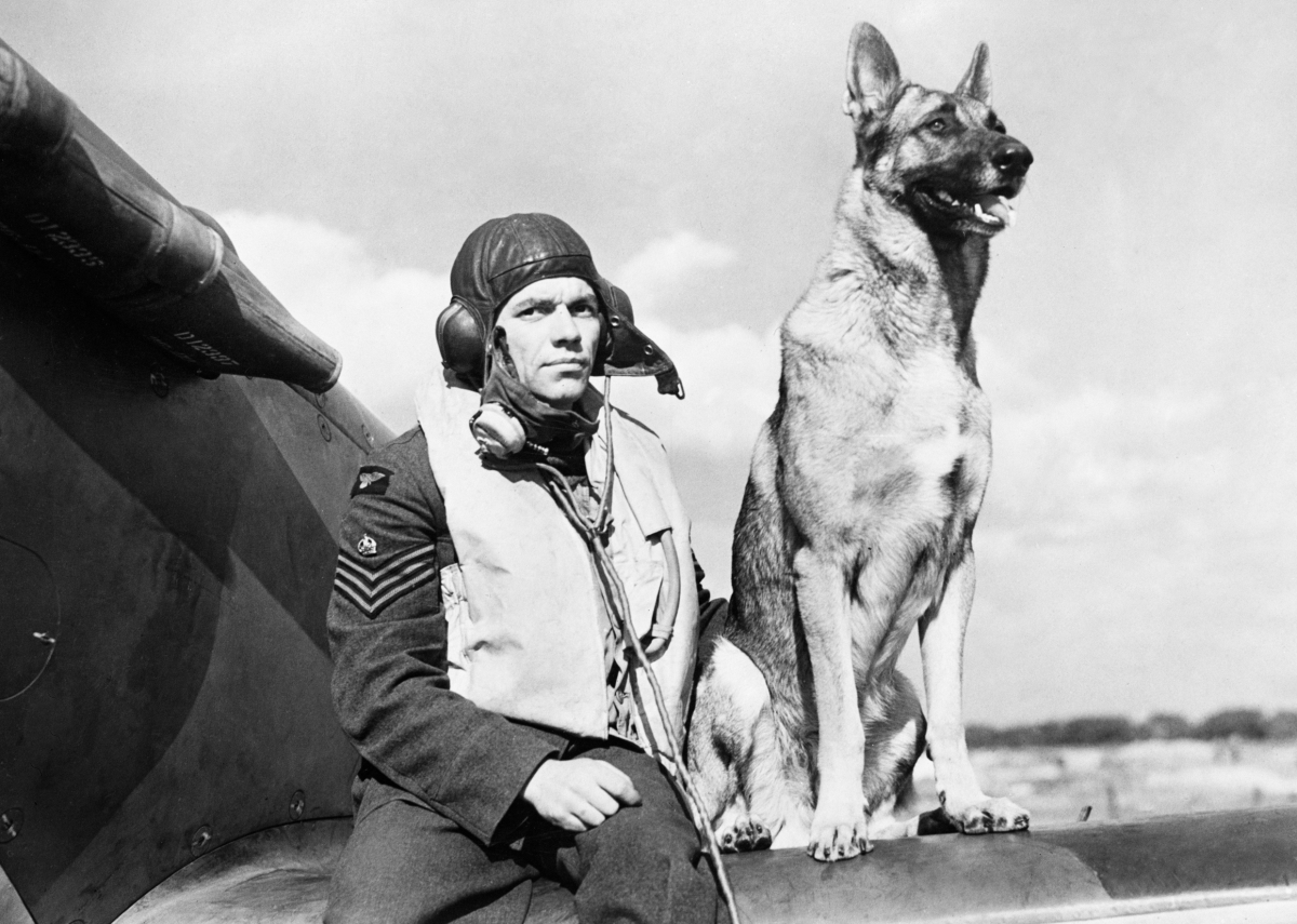 Battle of Britain 75th anniversary: The brave fighter pilots who ...