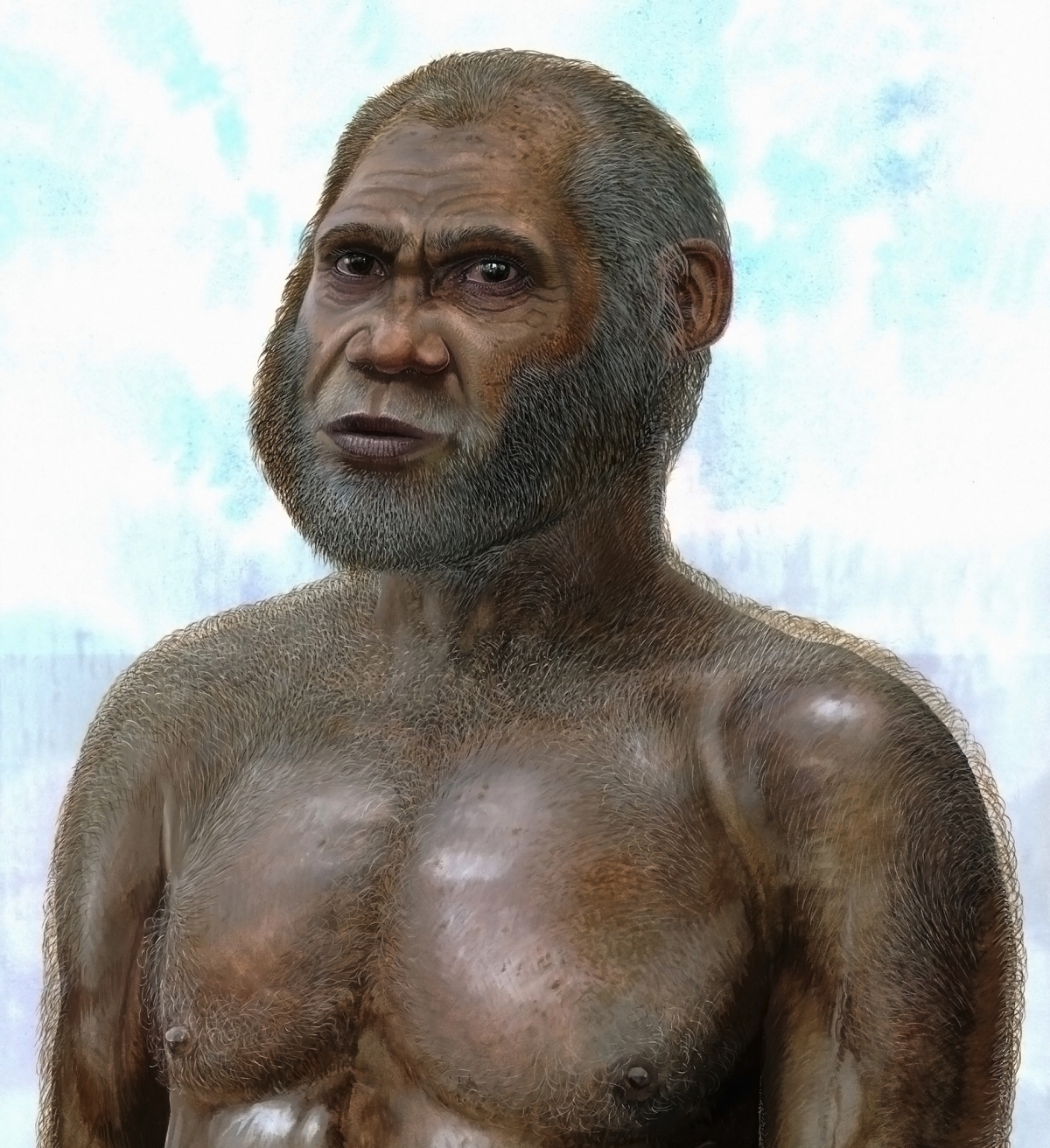 Red Deer Cave people: Bone discovery suggests ancient human species ...