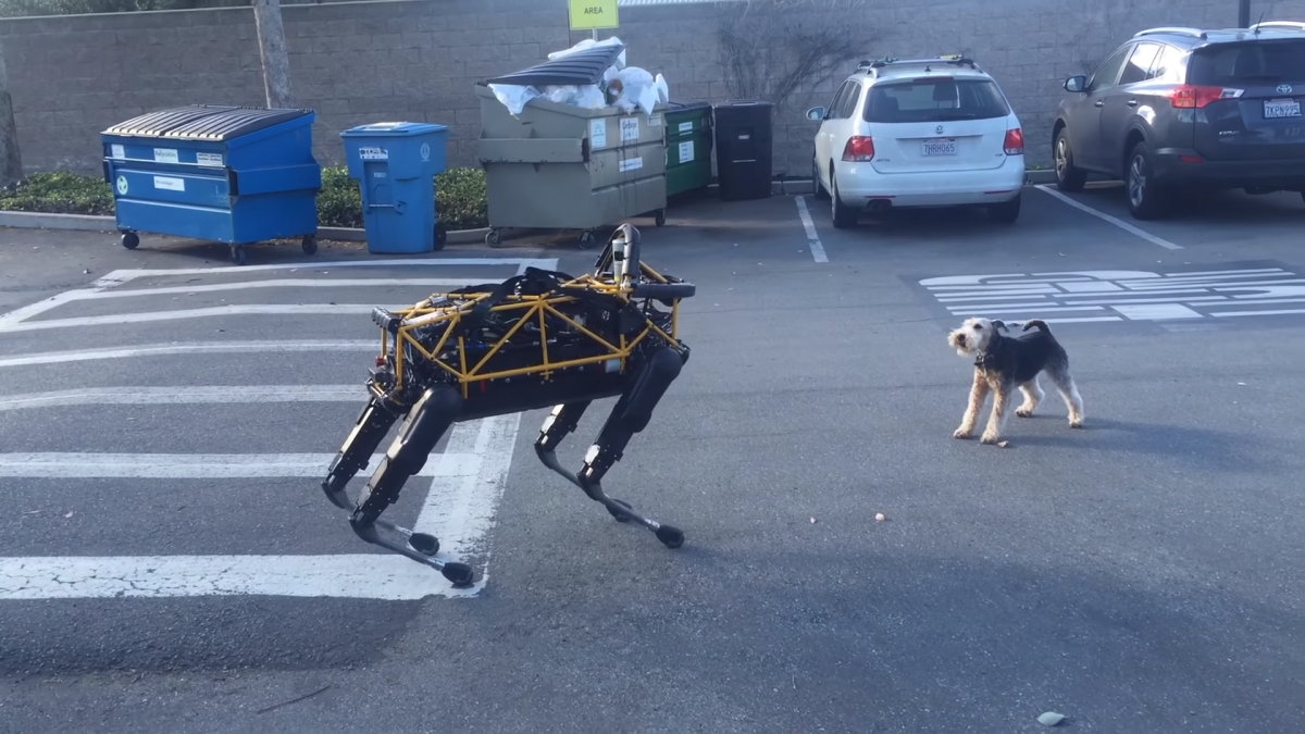 Watch Cosmo the dog battle Boston Dynamics' Spot robot in tense car ...