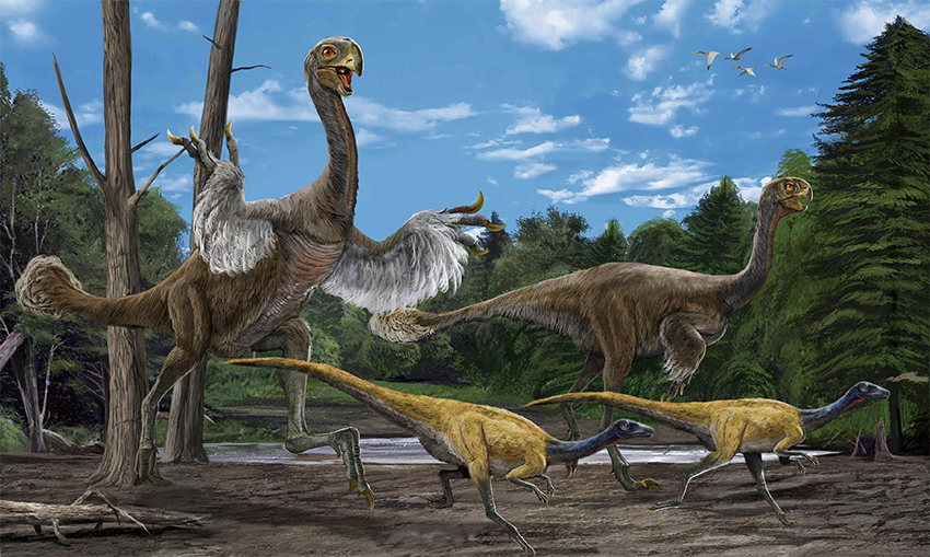 Gigantoraptor: World's largest feathered dinosaur coming to new UK ...