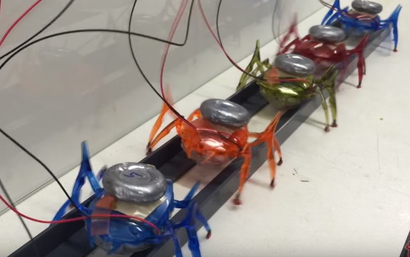 Watch ant-like micro-robots team up to pull 2-tonne car | IBTimes UK