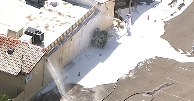 US: Swarm of bees attack worshippers at mosque | IBTimes UK