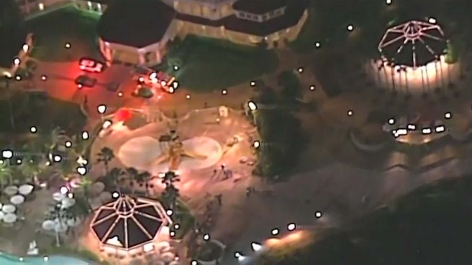 Disney resort adding warning signs after deadly alligator attack ...