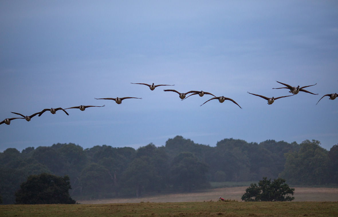 Autumn equinox 2016: Lovely photos of the first day of autumn in the ...