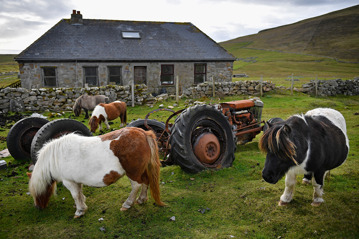 Discover the rugged beauty of the island of Foula in the Shetlands