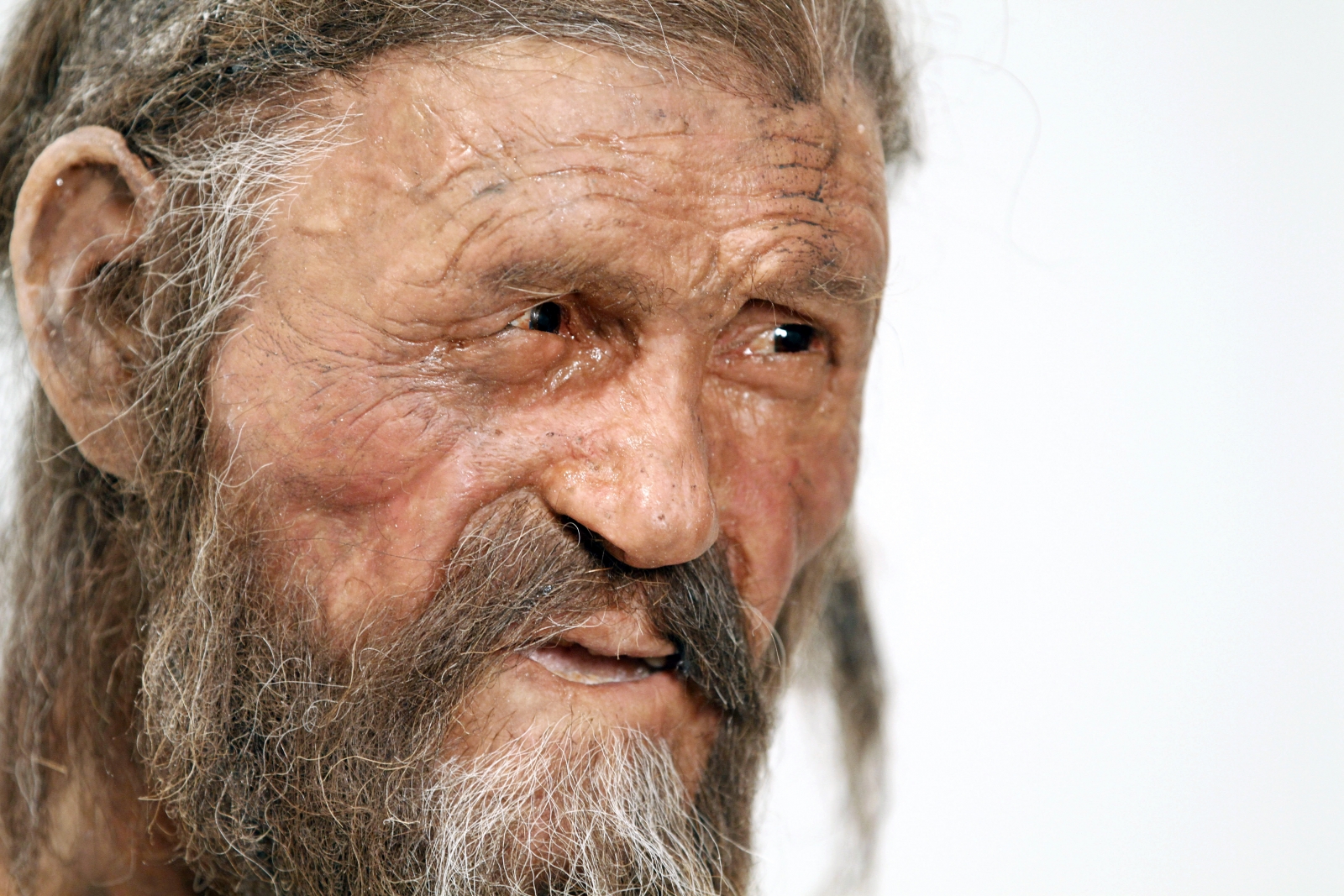 Arrow didn't kill Otzi the Iceman – instead he froze to death