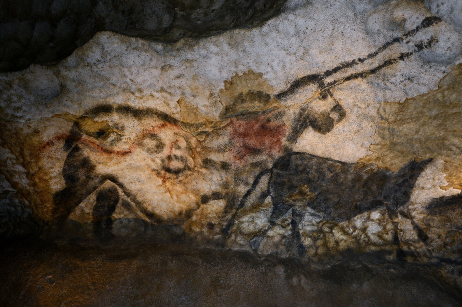 Lascaux caves: New site sheds light on mysterious Palaeolithic art