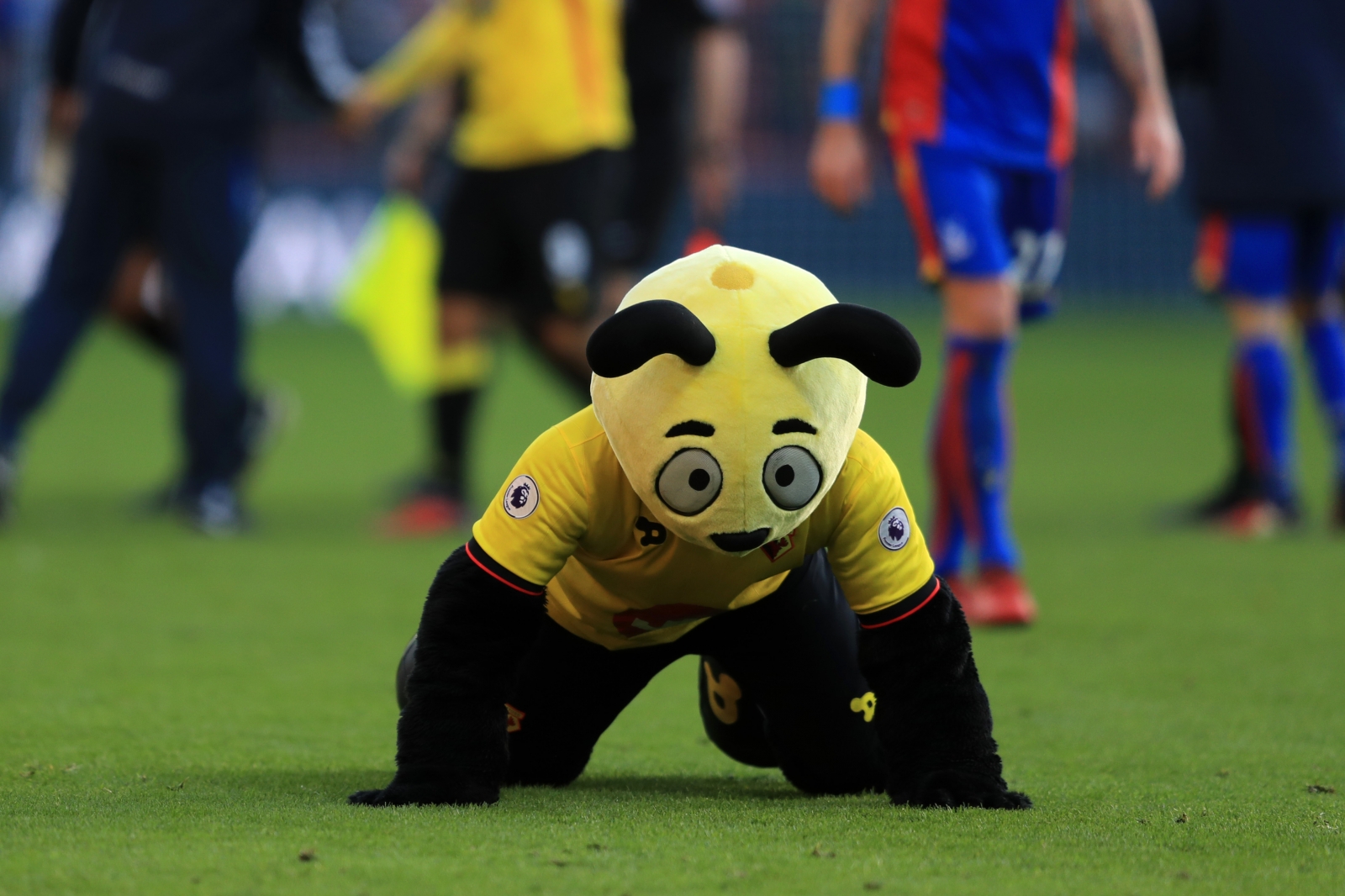 Harry the Hornet: Sam Allardyce blasts Watford mascot for mocking ...