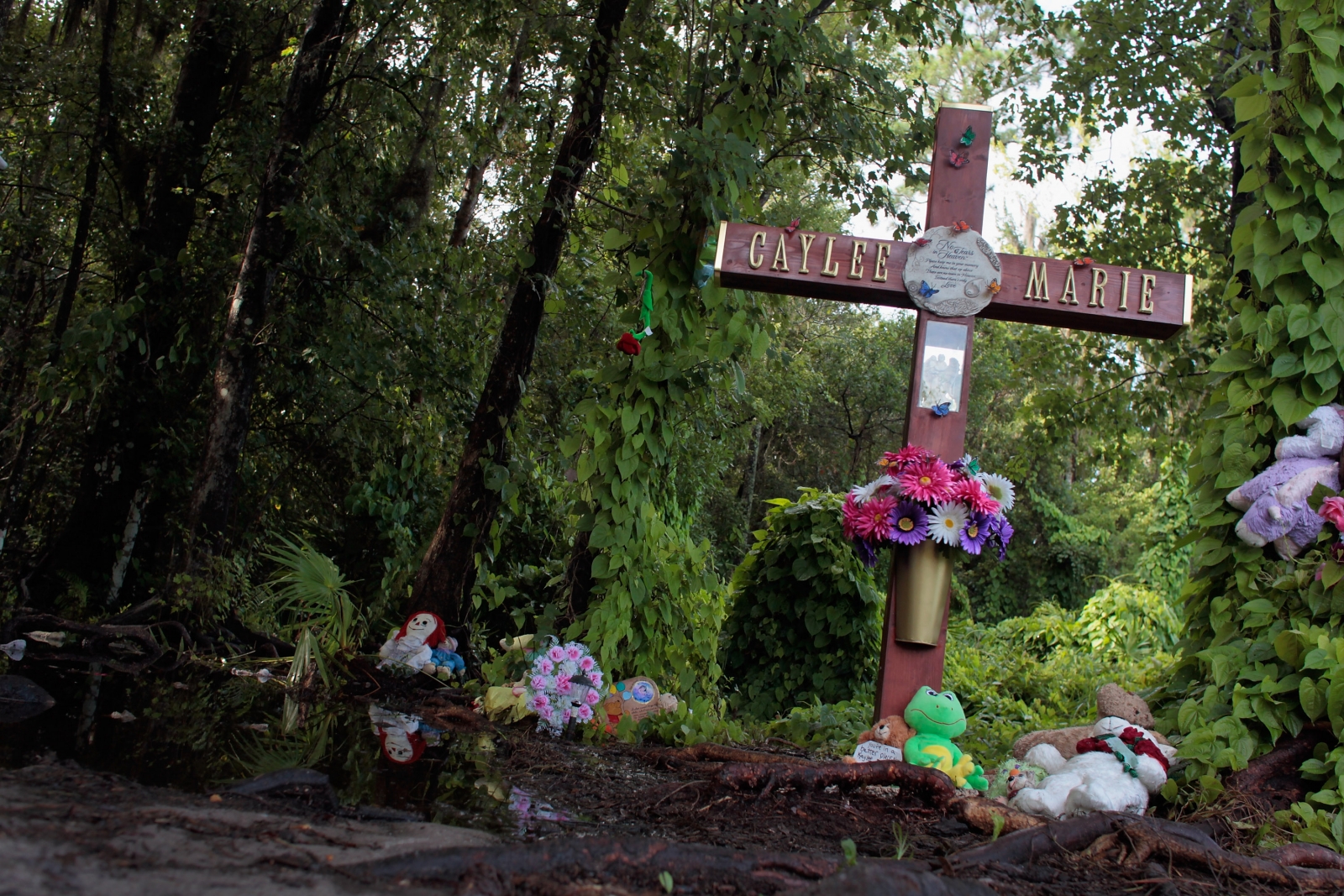 Casey Anthony An American Murder Mystery: How was two-year-old Caylee ...