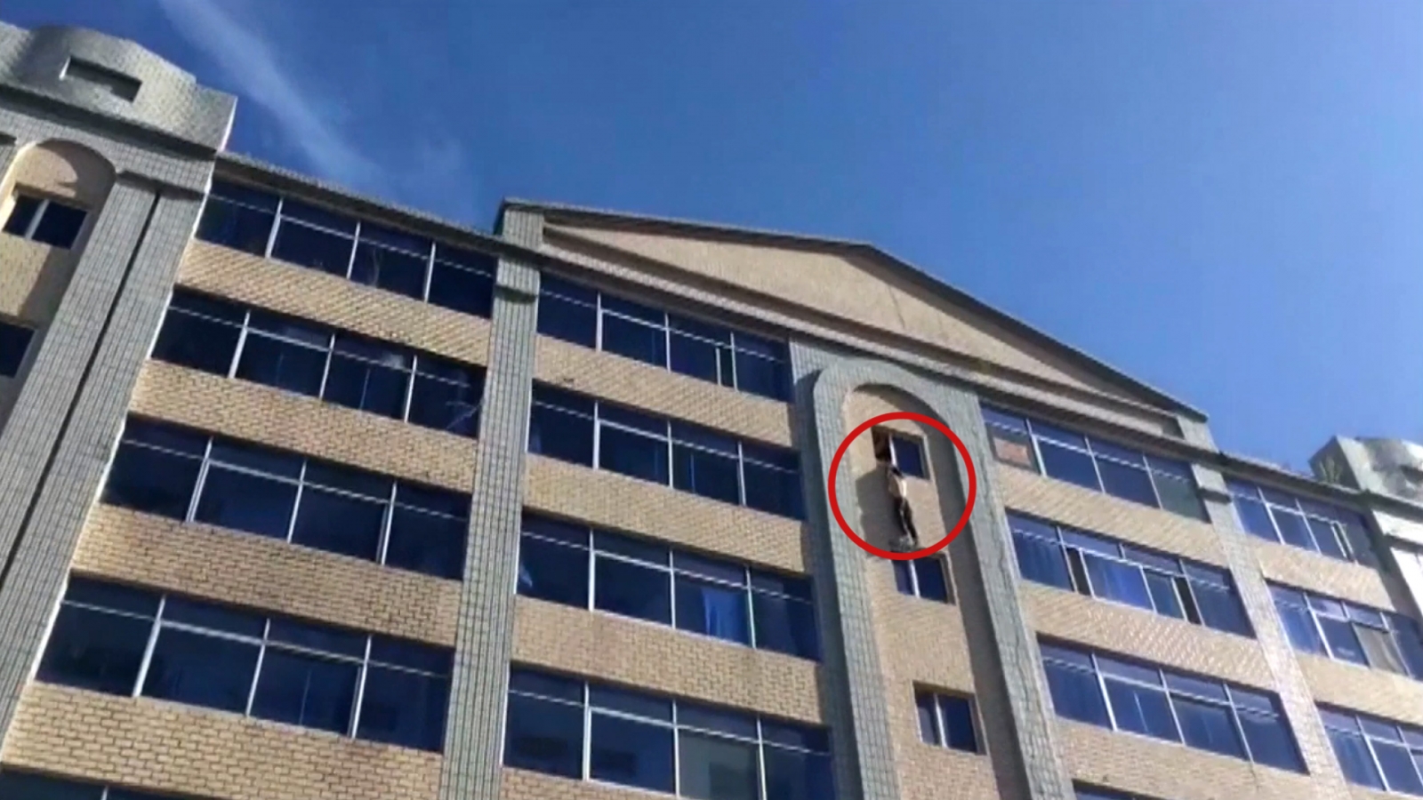 Watch as firefighters thwart suicide jumper in Northeast China building ...