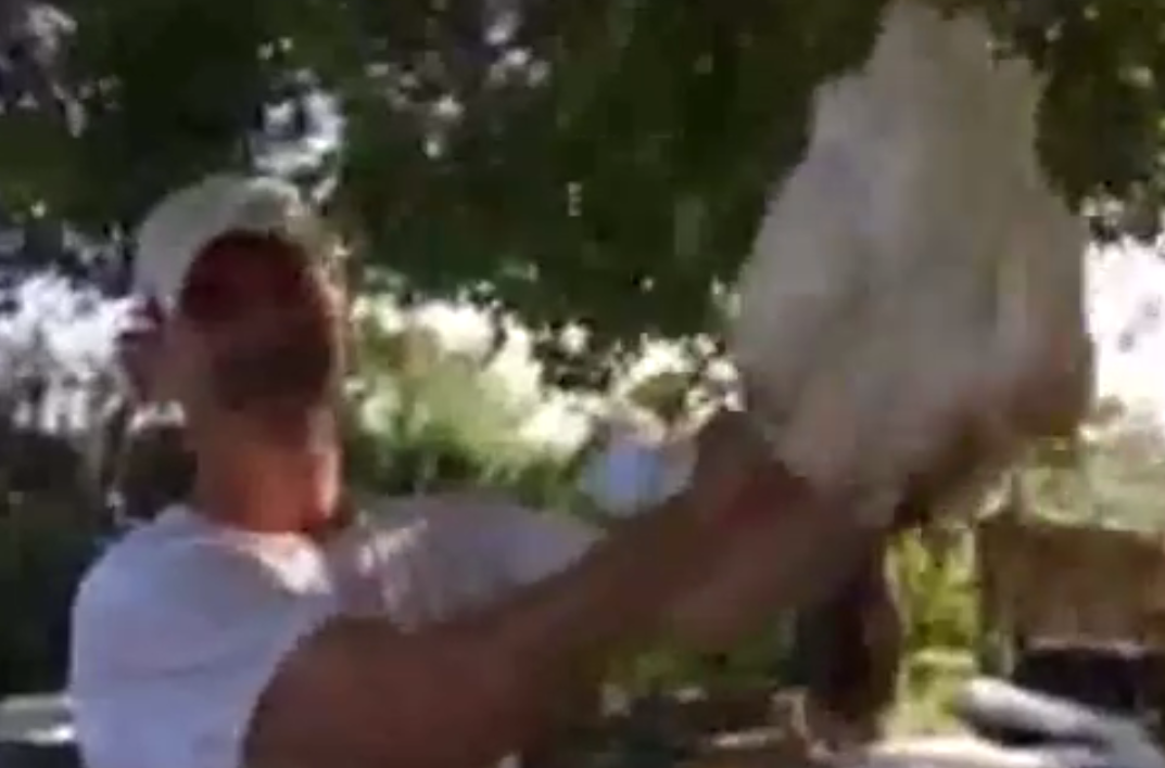 Republican filmed himself beheading and gutting a chicken to make a ...
