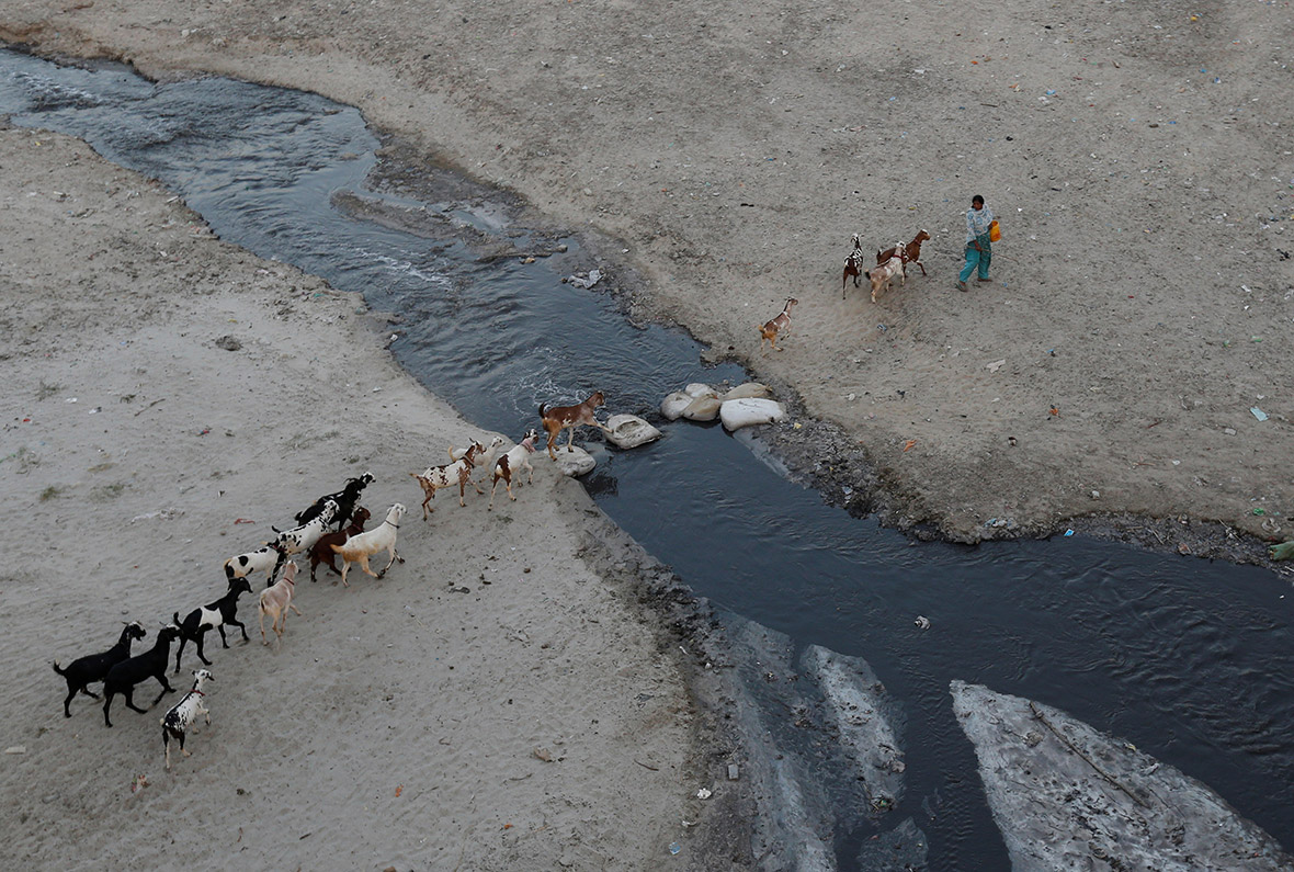 Photos show how industrial pollution and human waste are killing India ...