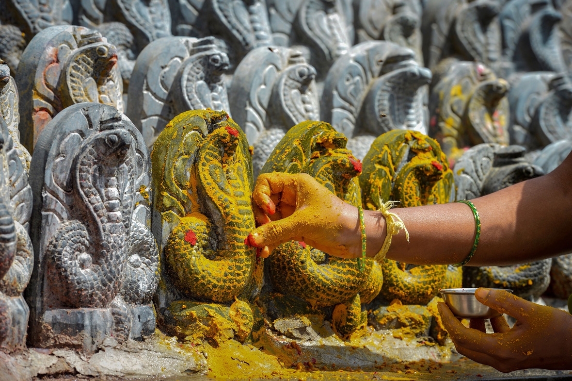 In pictures: Nag Panchami 2017, or the Hindu snake festival