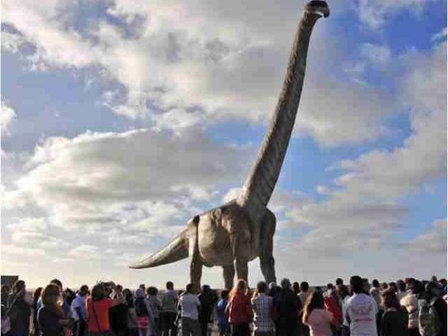 Patagotitan mayorum: Earth's biggest dinosaur was a 115ft long herbivore