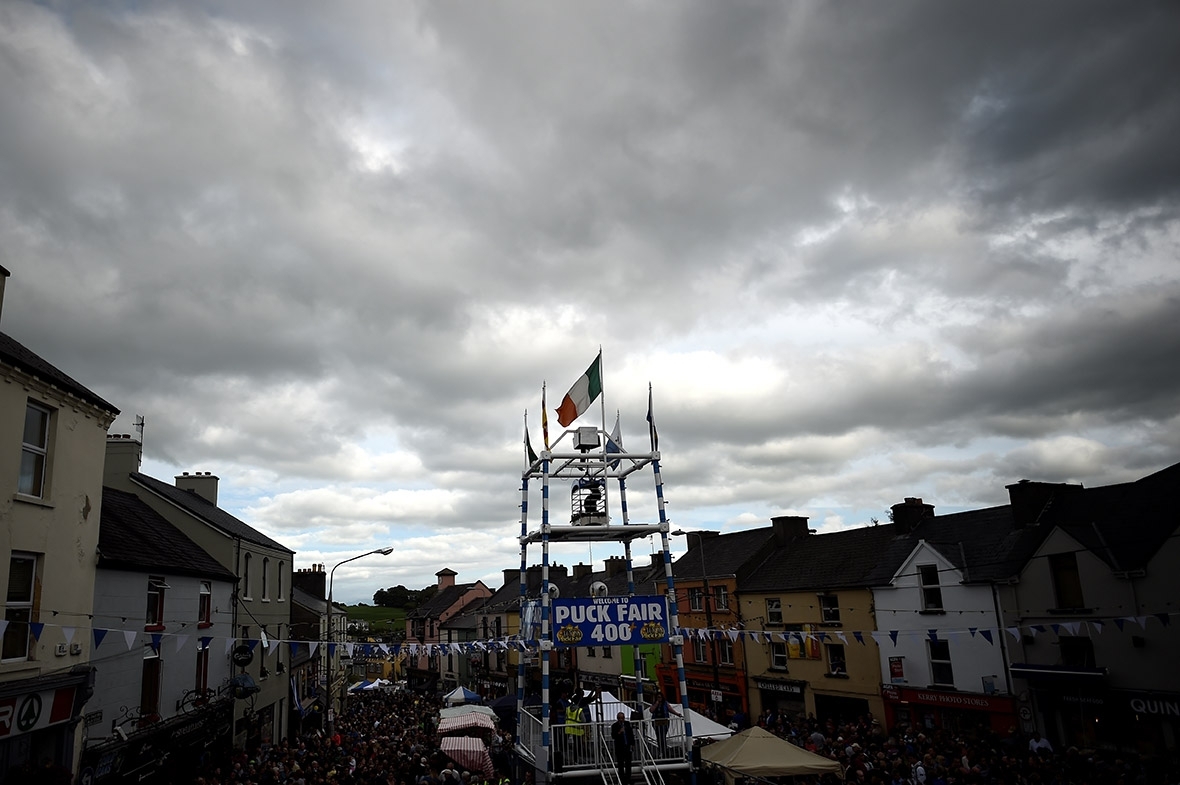 Puck Fair in pictures: Wild goat is crowned king in Ireland