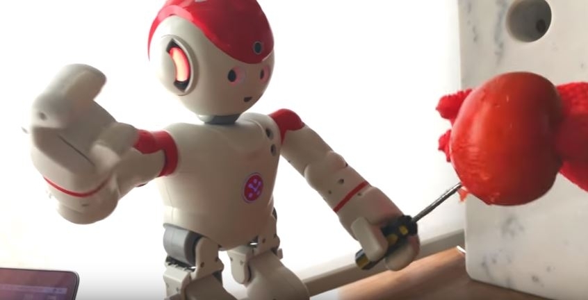 Watch popular robot get 'easily' hacked to violently stab a tomato ...