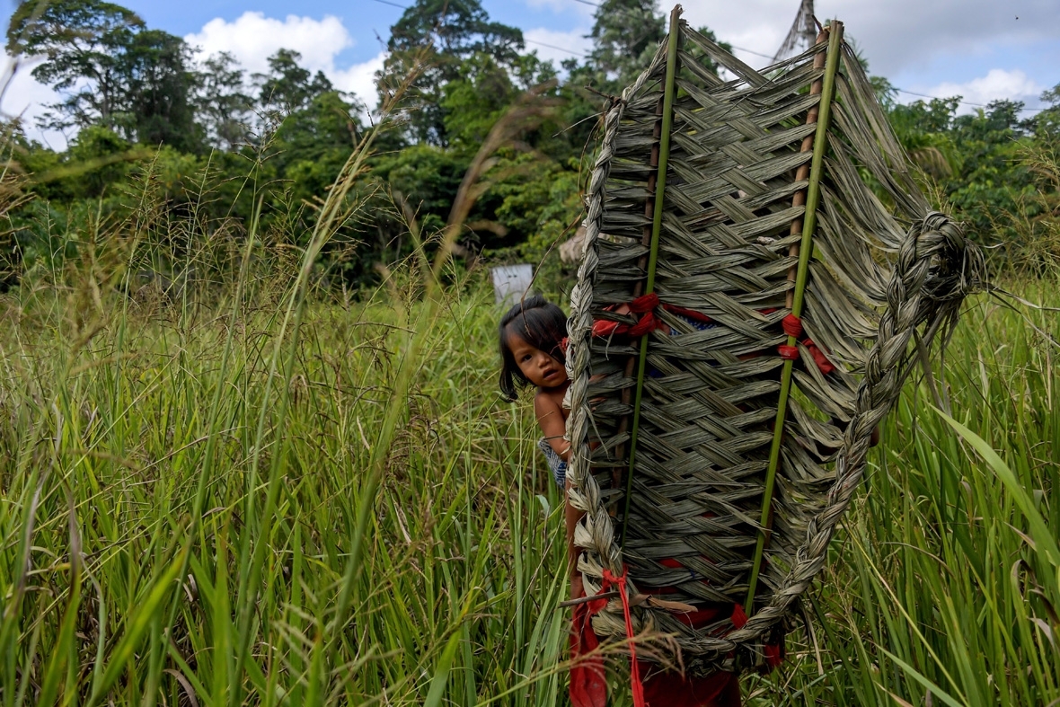 Beautiful photos of isolated tribe in remote Amazon rainforest, with ...