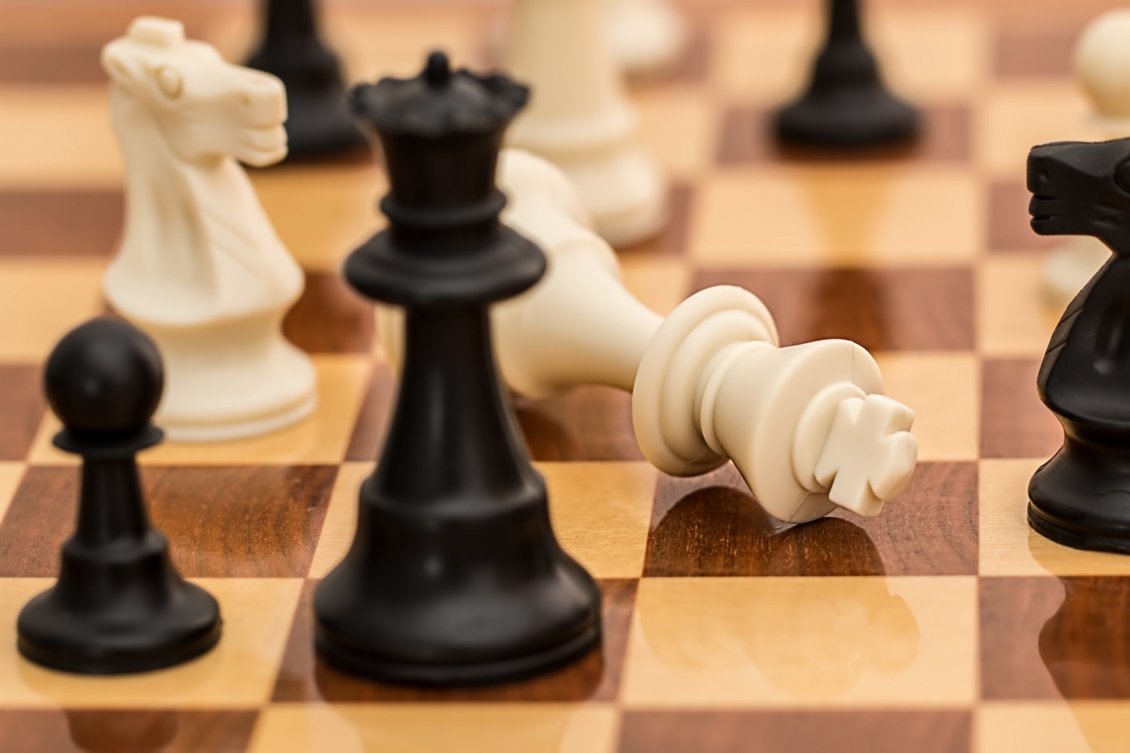 Google AI That Mastered Chess In 4 Hours Could enslave The Human Race Google AI That Mastered Chess In 4 Hours Could enslave The Human Race