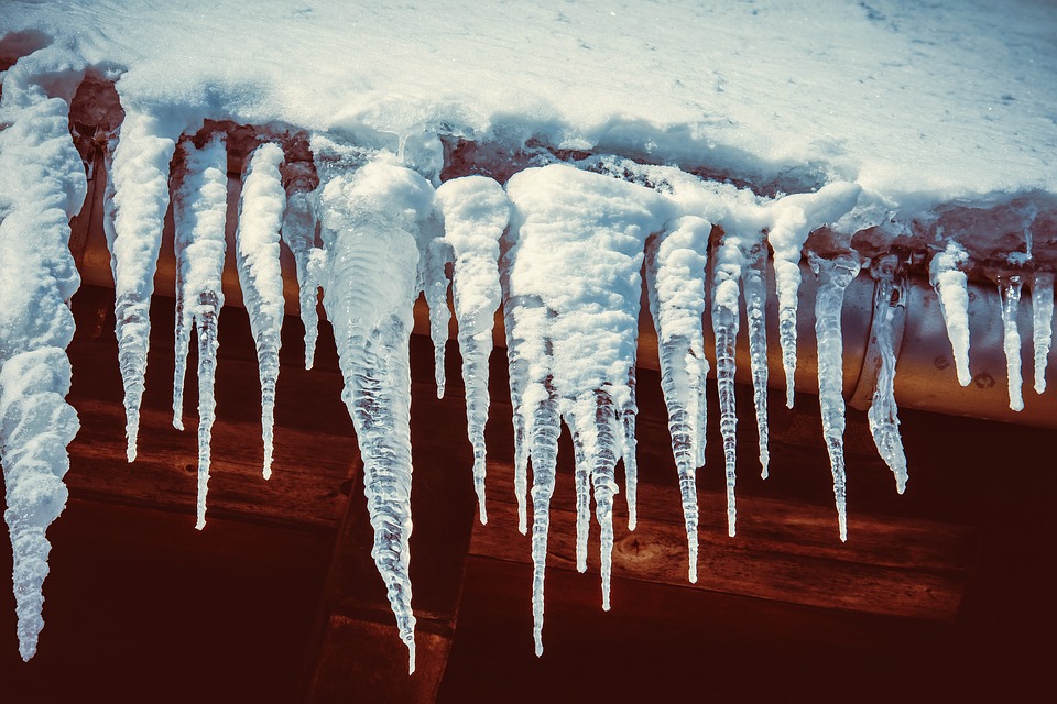 Think before you lick! Meteorologist claims icicles may have bird feces ...