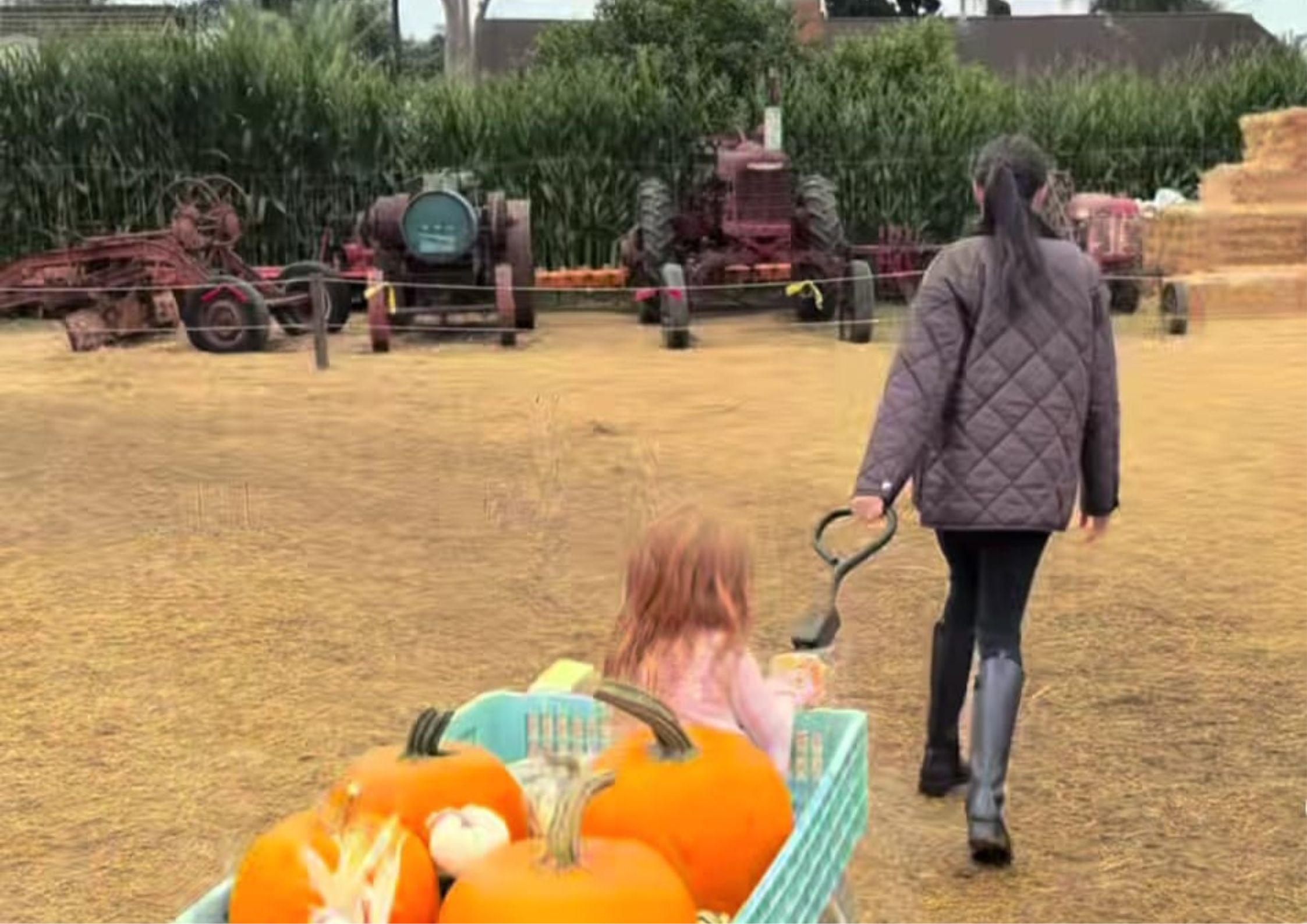 Meghan Markle Shares Rare Glimpse of Family Halloween Fun with Prince ...