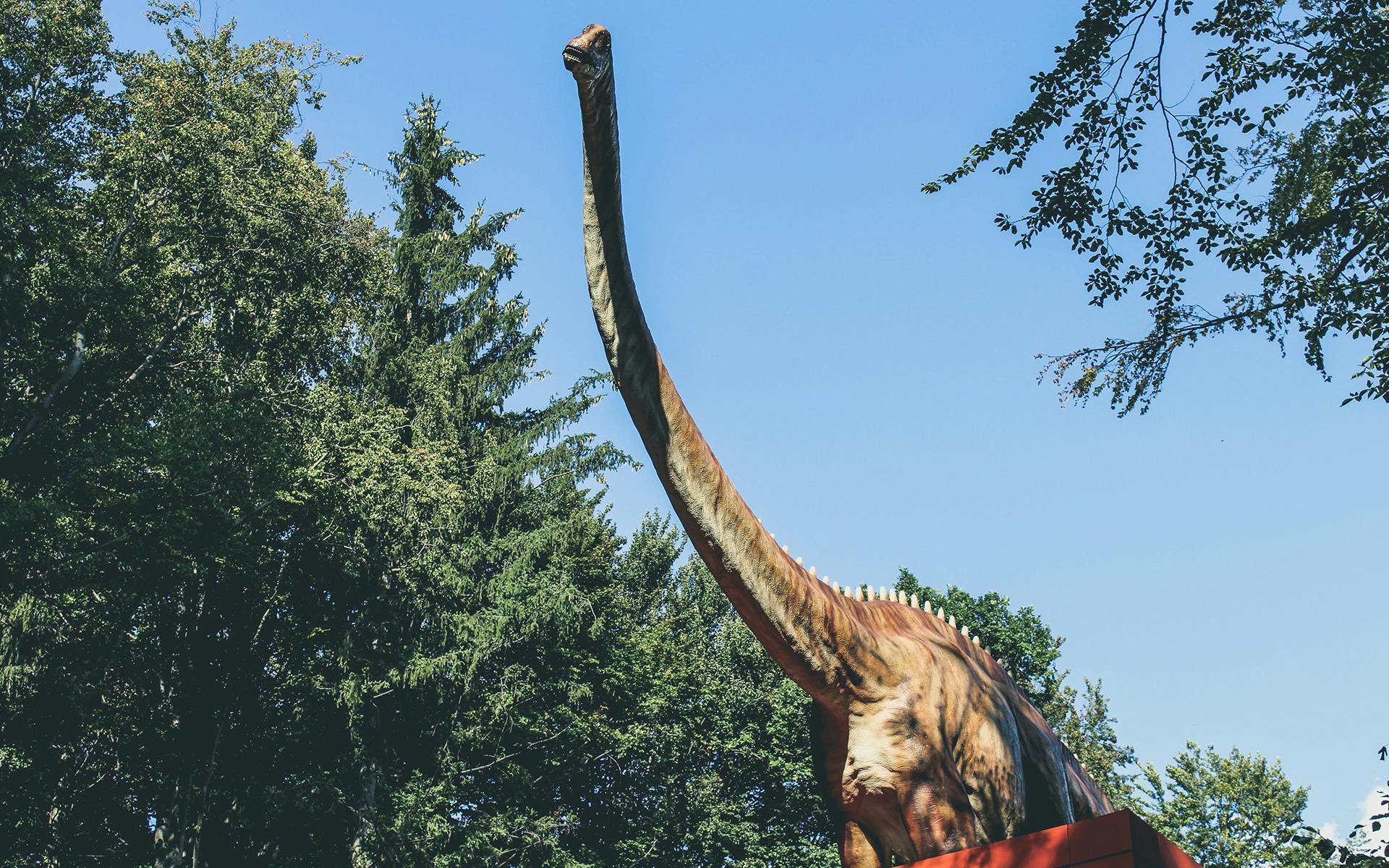 'That's a Dinosaur!': Viral TikTok Claims Amazon River Sighting but ...