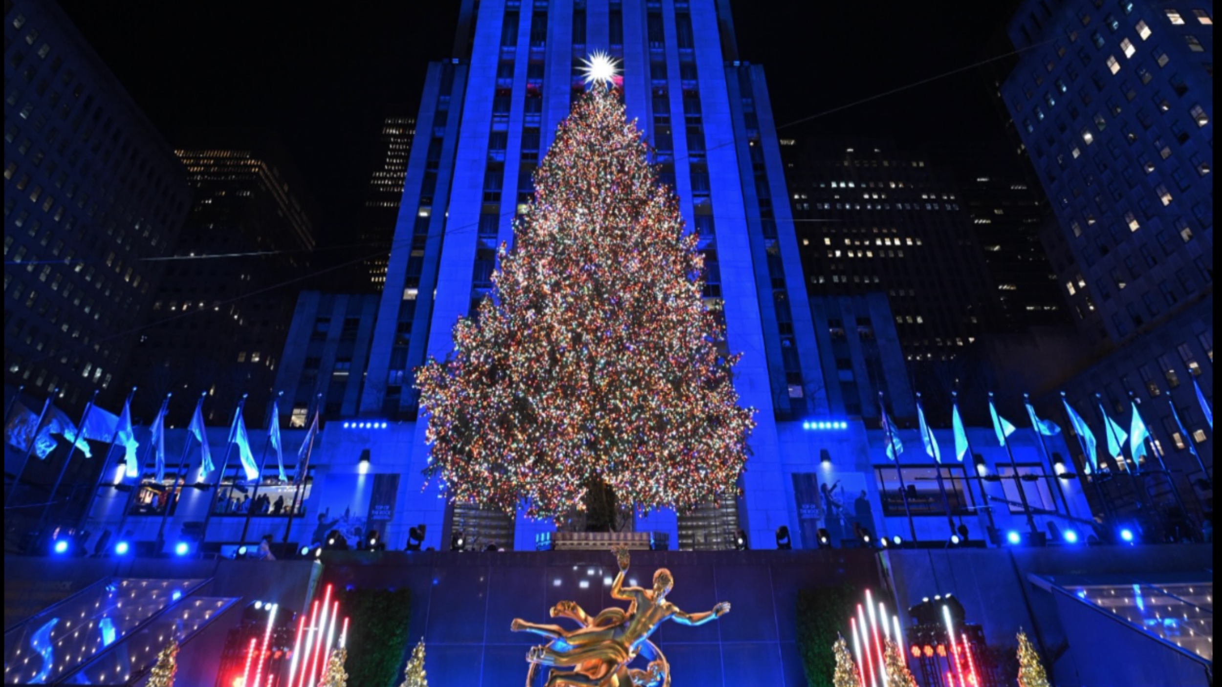 Widow Fulfils Late Husband's Dream as Family's 75-Foot Tree Becomes ...
