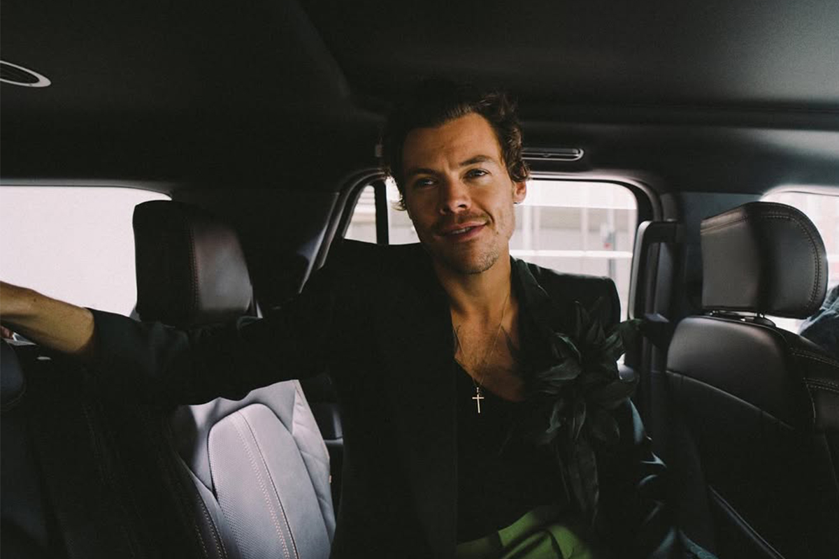 Harry Styles Making a Comeback? Fans Urgently Plead 'Save Us From ...