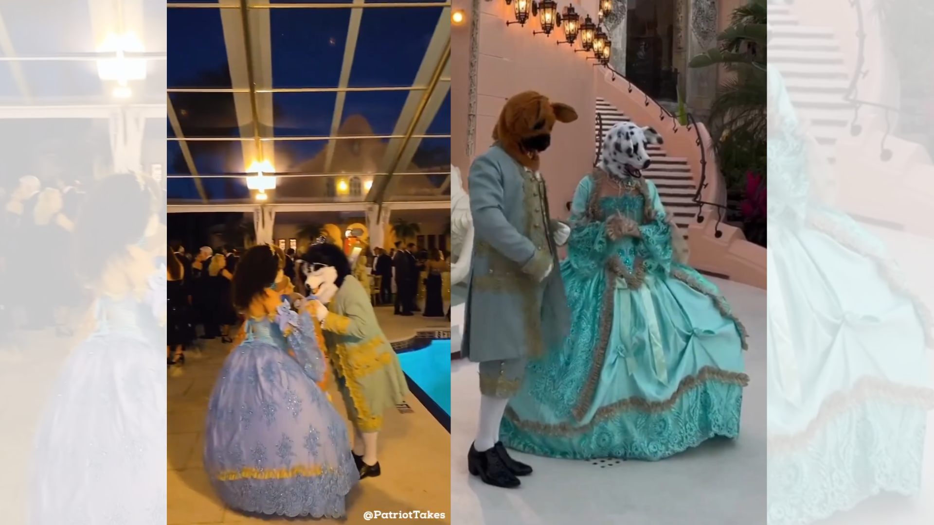 Not Creepy At All' MAGA Furries At Dog Charity Gala Sparks Abuzz at ...