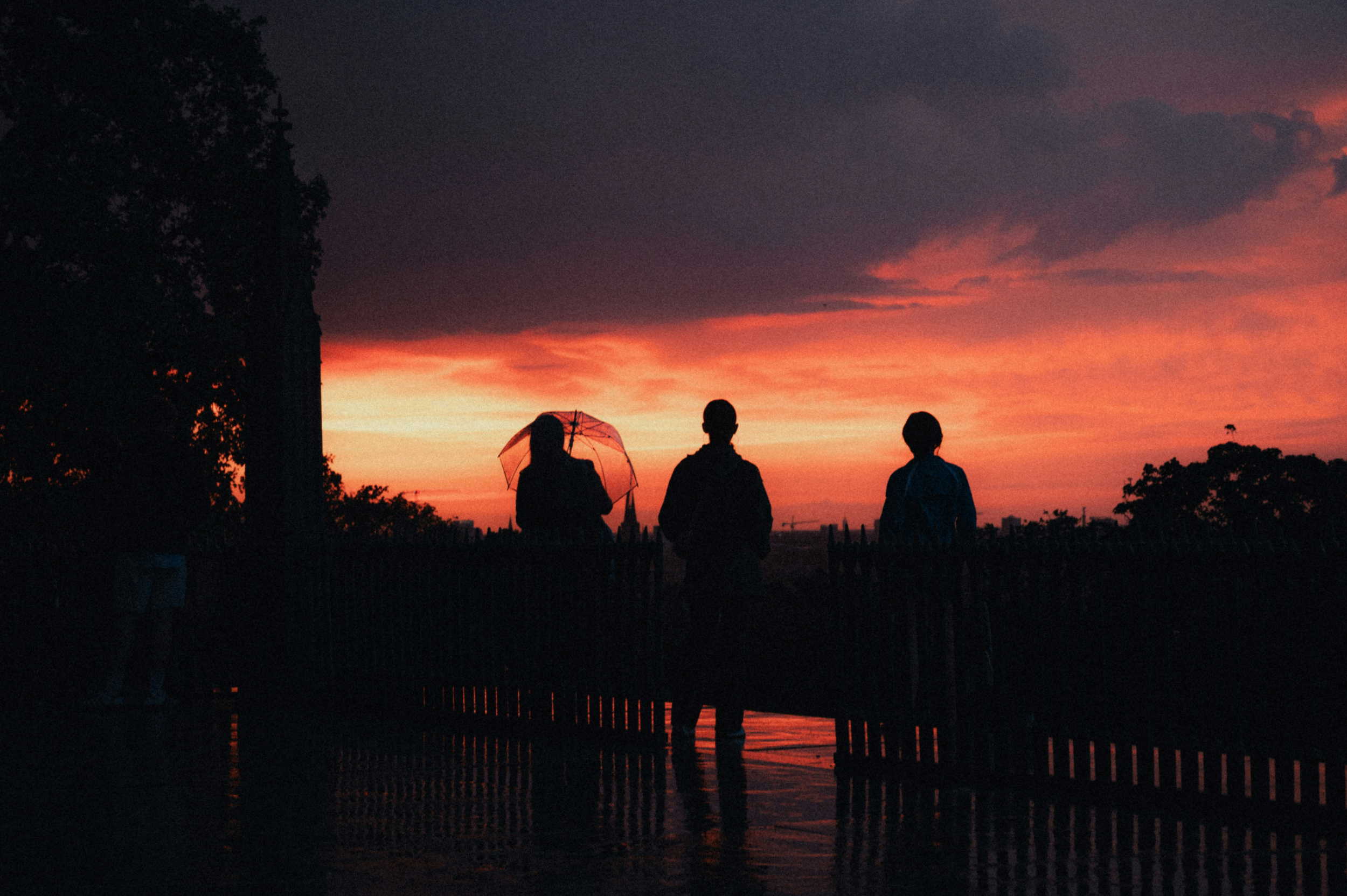 Alexander Brothers Face Their Reckoning as Alleged Victims Take the ...