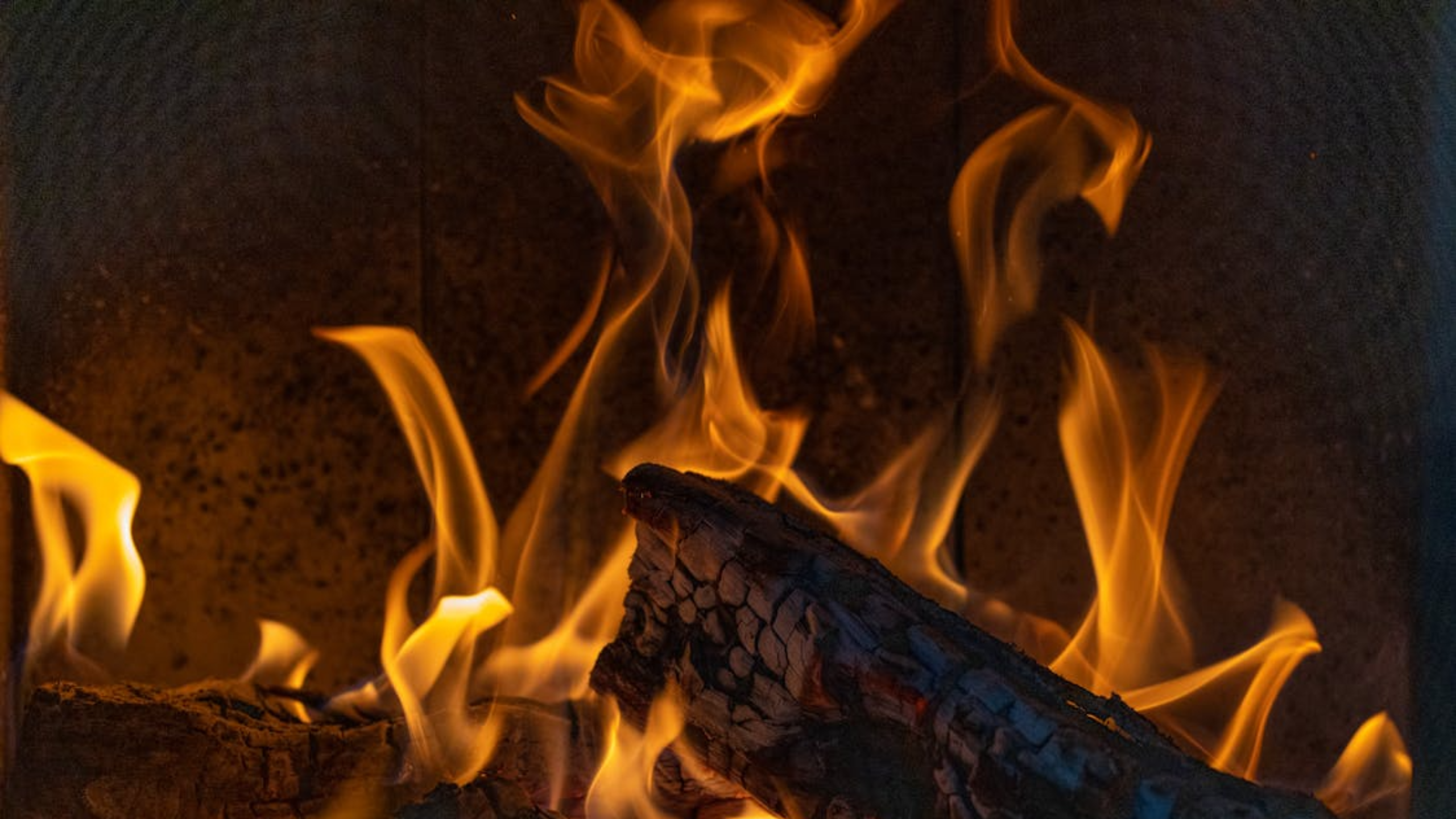 'Burn motherf—er, burn': Evicted Daughter Accused of Setting Home ...