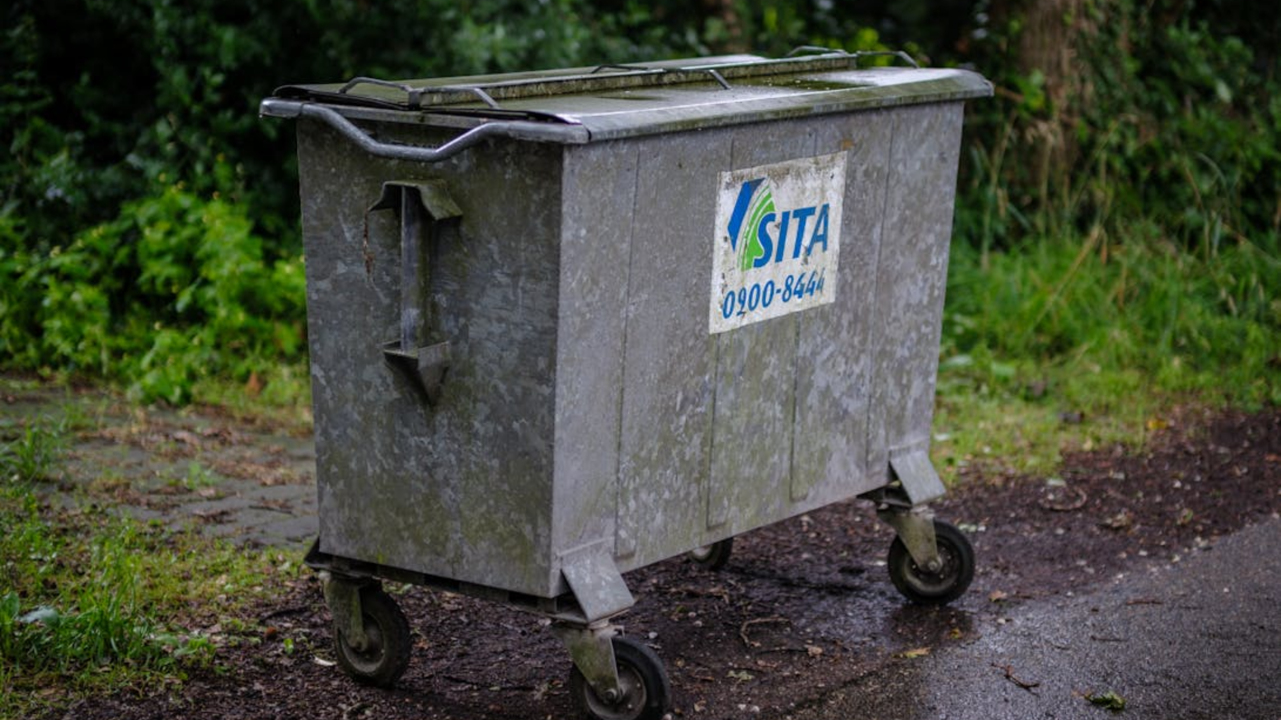 'Get Angry and Kill Her': Teen Girlfriend Strangled and Found Sealed in ...