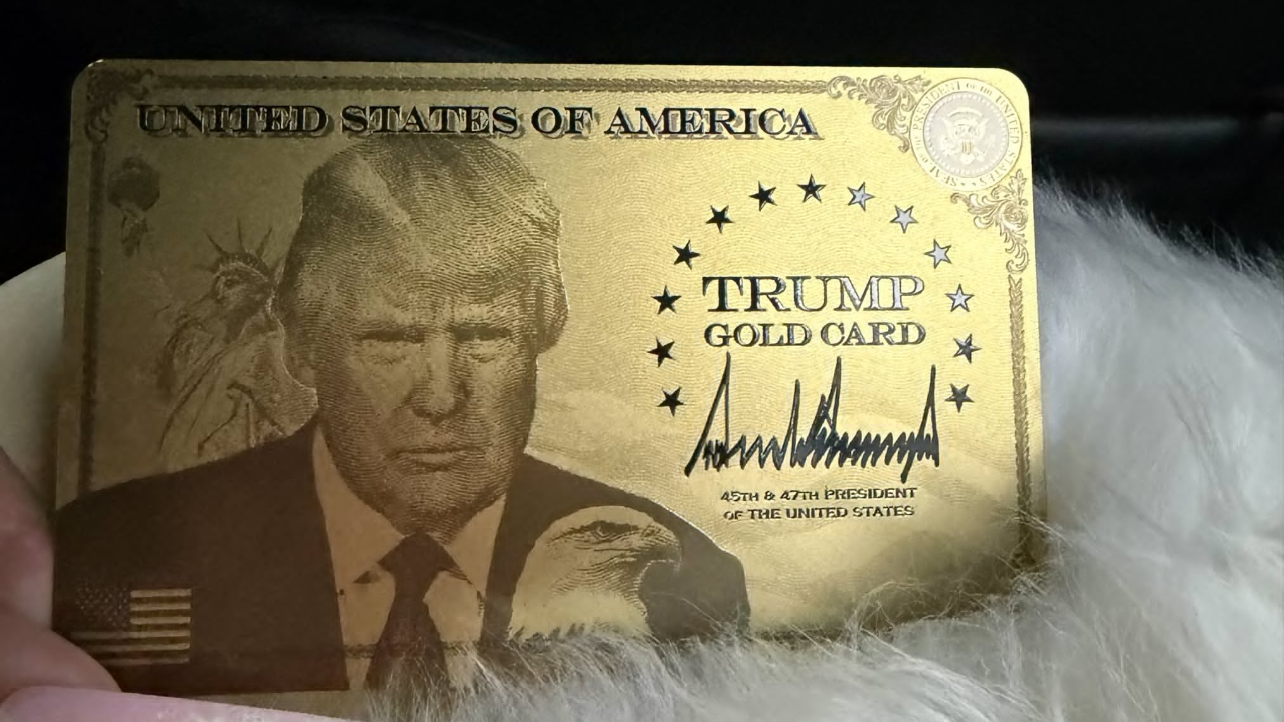 Nicki Minaj Just Got a Trump Gold Card — Here's What It Is and How Much ...