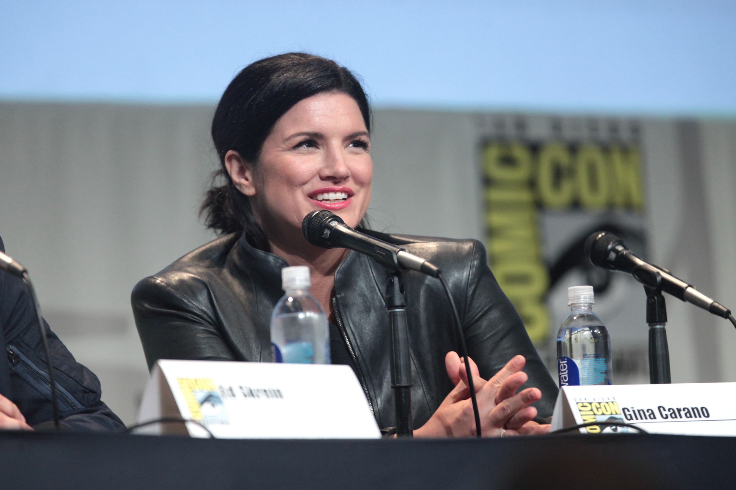 Ronda Rousey Gina Carano Fight Mixed Martial Artist Details Brutal
