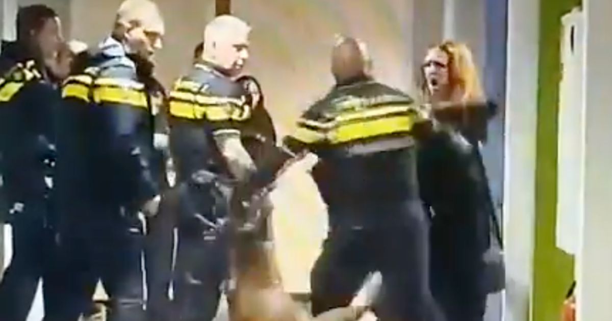 Viral Video Explained: Why Dutch Police Dragged a Pregnant Palestinian ...