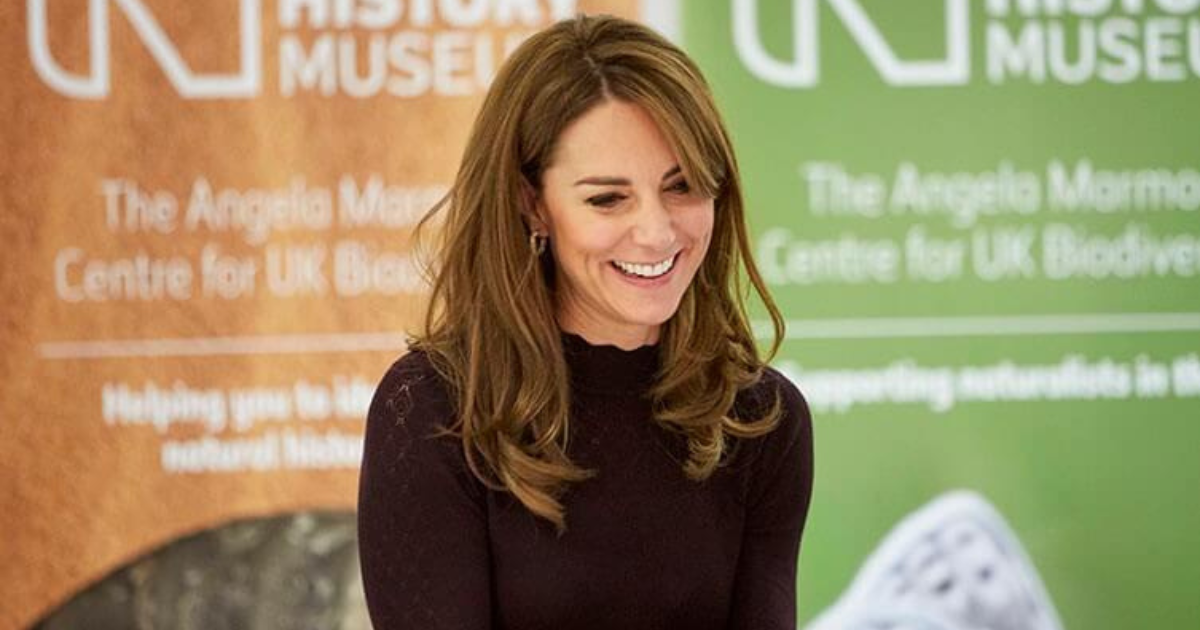 Princess Catherine's Medical Records Targeted in Alleged Sale Attempt ...