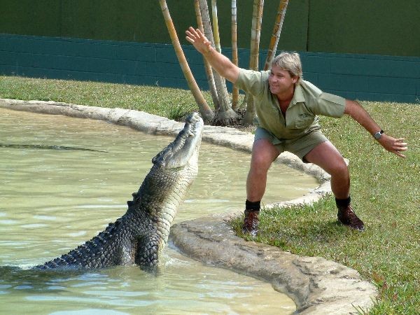 Top Steve Irwin quotes and facts to celebrate the 55th birthday of 'The ...