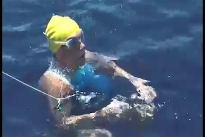 Diana Nyad abandons swim from Cuba to Florida | IBTimes UK
